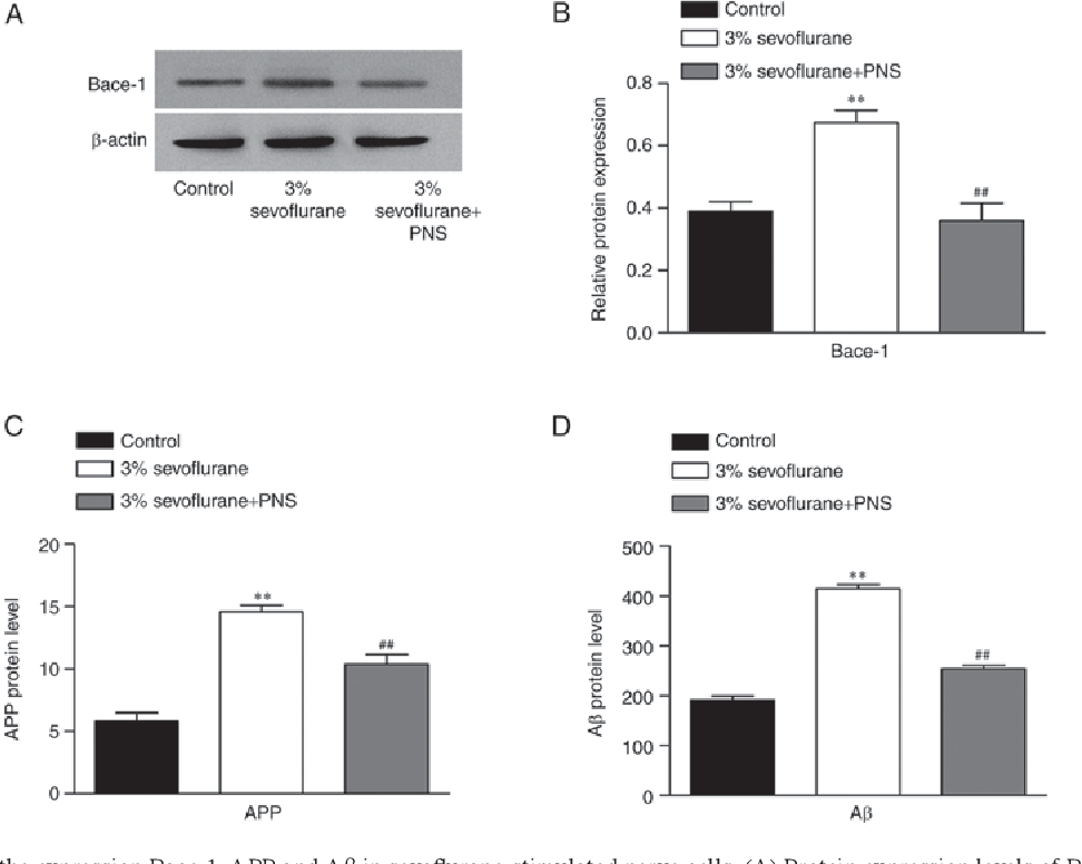 Figure 1 From Panax Notoginseng Saponins Attenuates Sevoflurane‑induced