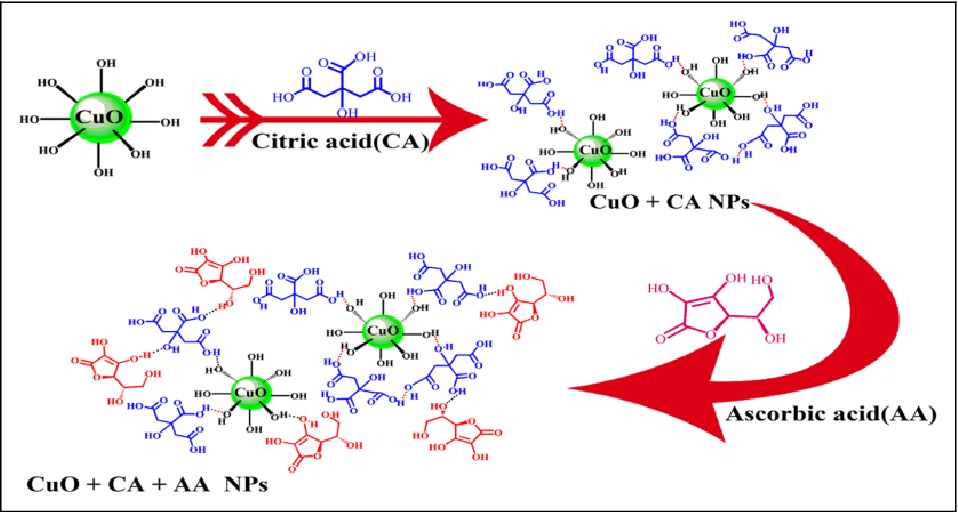 Surface Treatment Of Copper Ii Oxide Nanoparticles Using Citric Acid