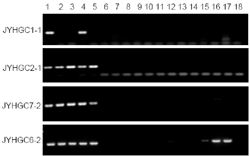 Figure 1 From Development Of Novel Scar Markers For Genetic