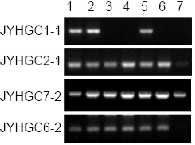 Table 1 From Development Of Novel Scar Markers For Genetic