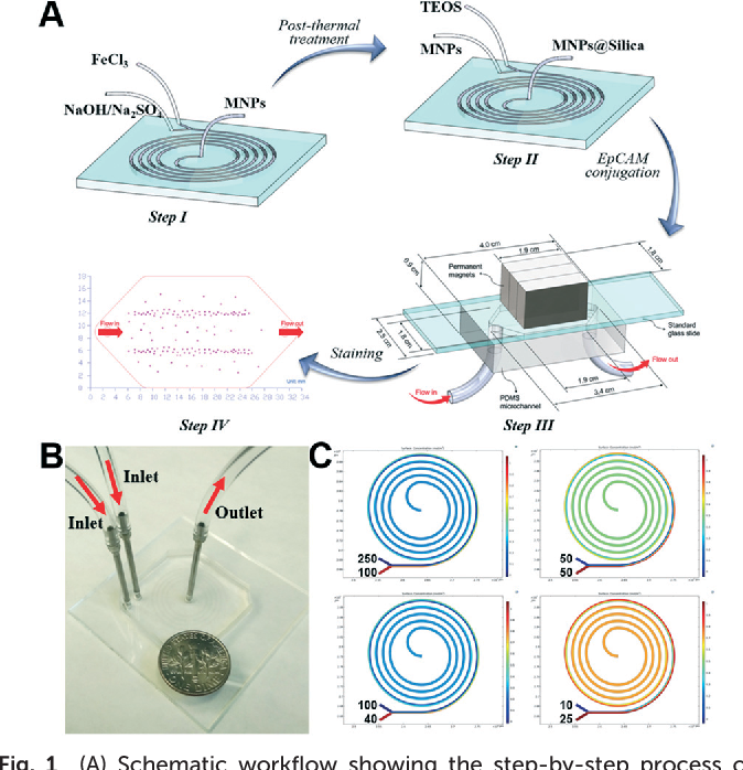 Figure 5 From Microfluidics Enabled Rational Design Of Immunomagnetic