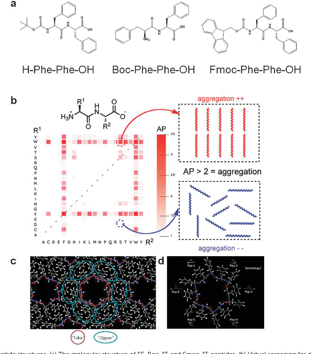 Pdf The Physical Properties Of Supramolecular Peptide Assemblies