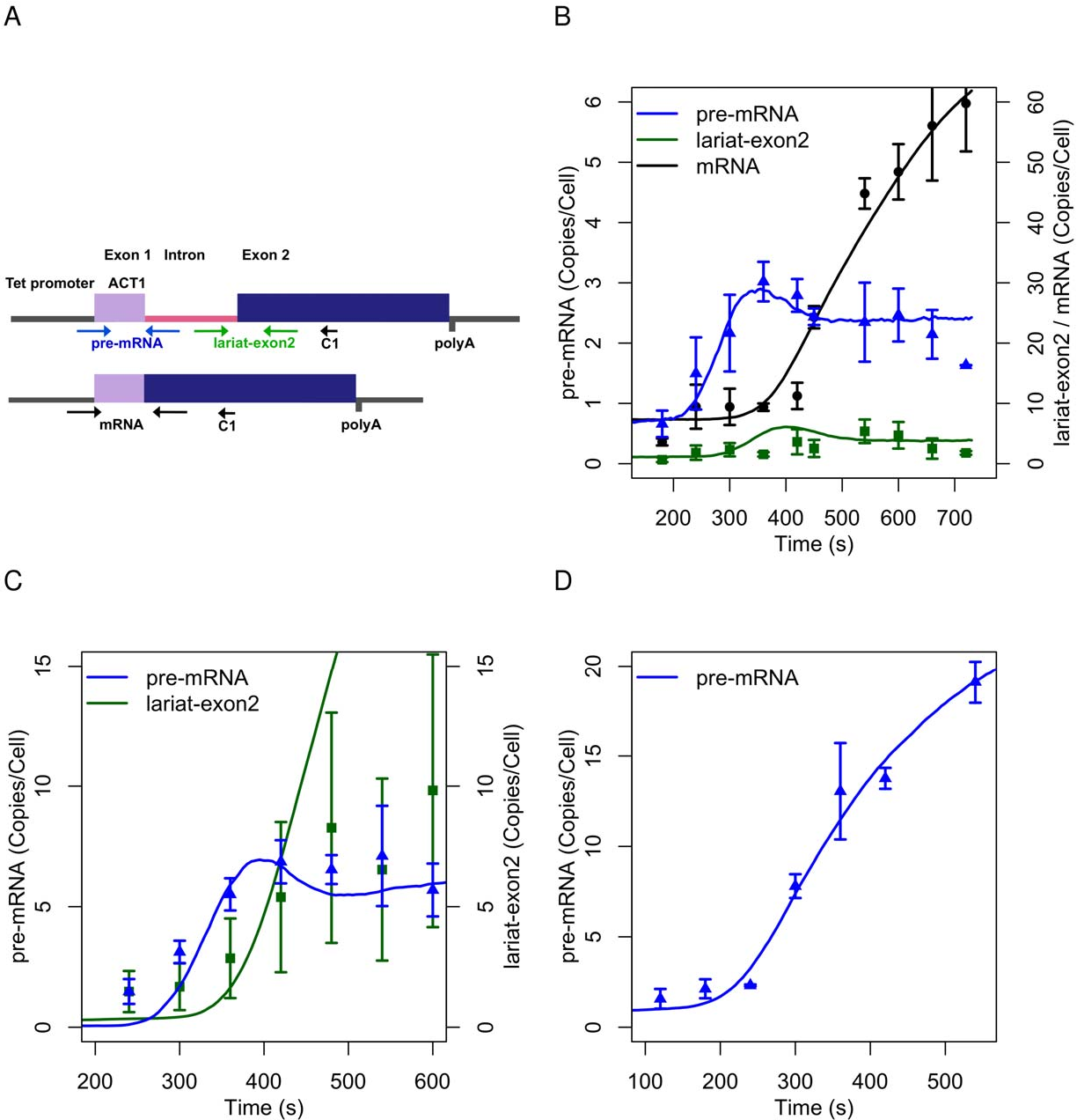 Pdf Modelling Reveals Kinetic Advantages Of Co Transcriptional