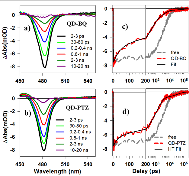 Ultrafast Interfacial Electron And Hole Transfer From Cspbbr3