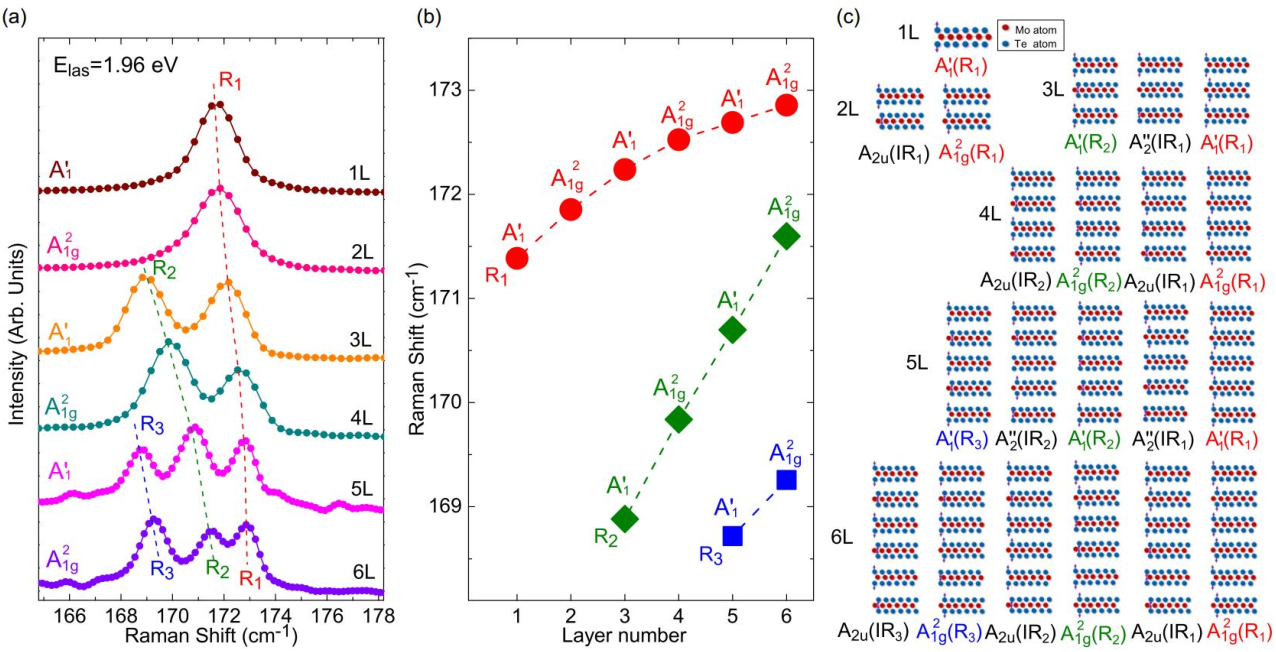 Figure 1 From Physical Origin Of Davydov Splitting And Resonant Raman