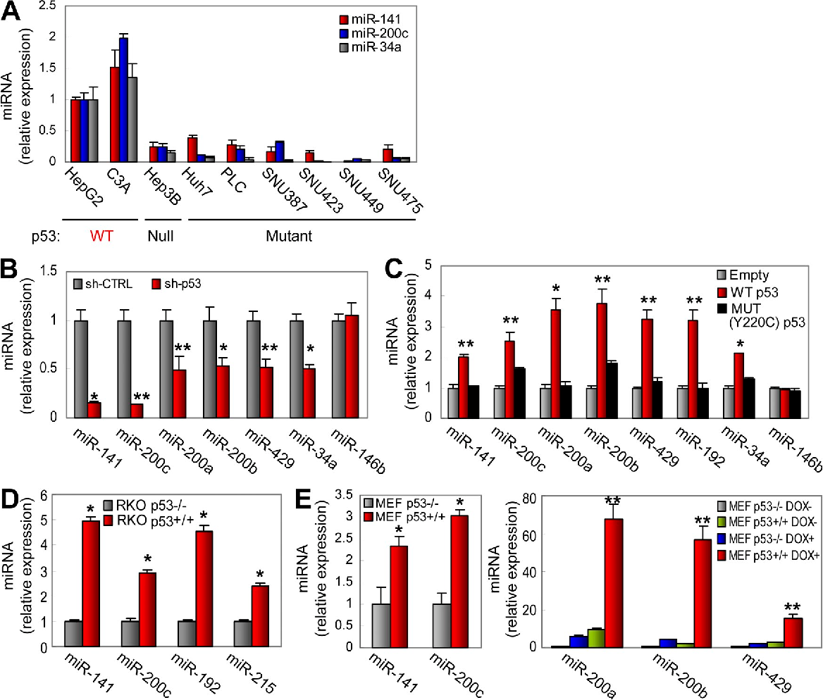 Figure 3 From P53 Regulates Epithelialmesenchymal Transition Through