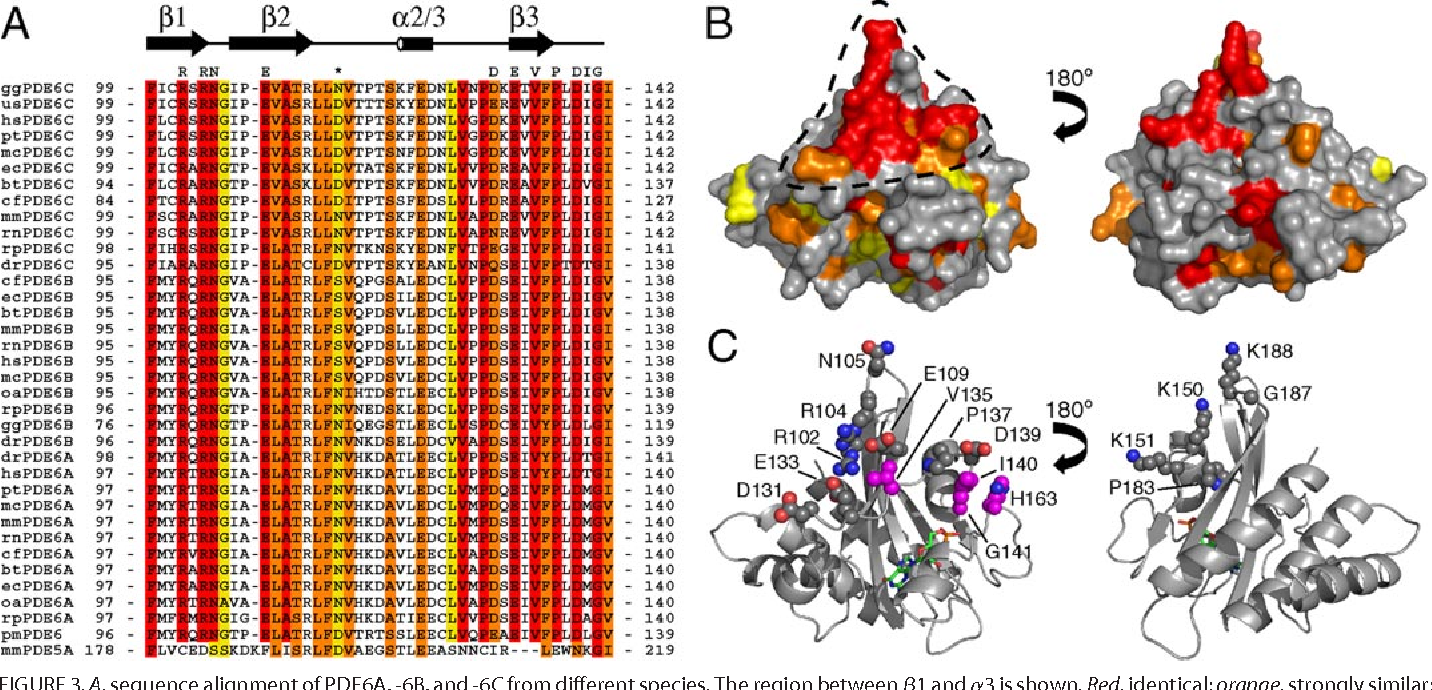 Figure 1 From The Structure Of The Gaf A Domain From Phosphodiesterase