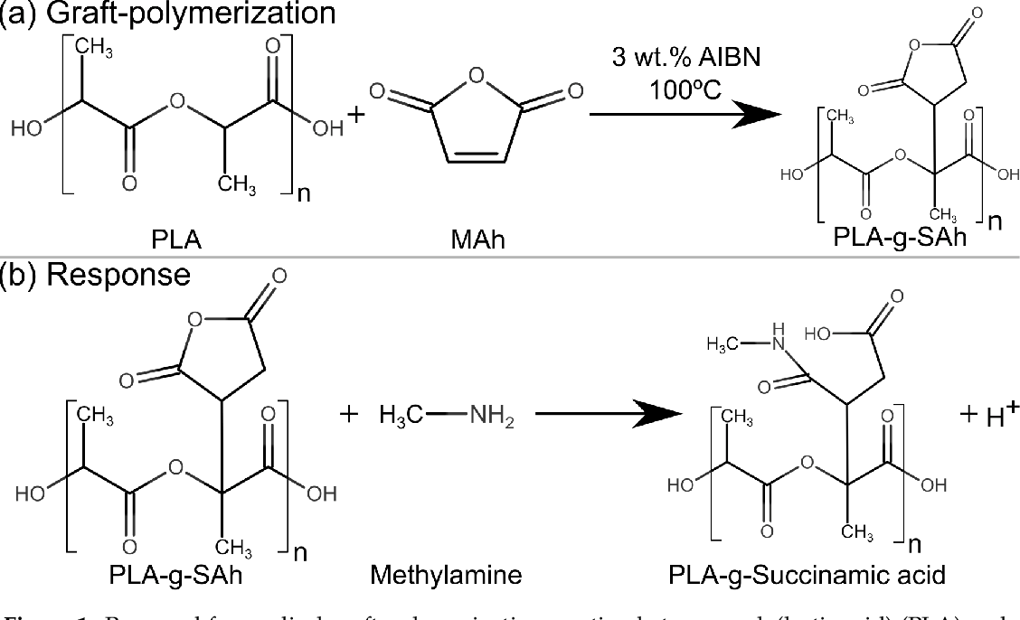 Succinic Anhydride Reaction With Amine