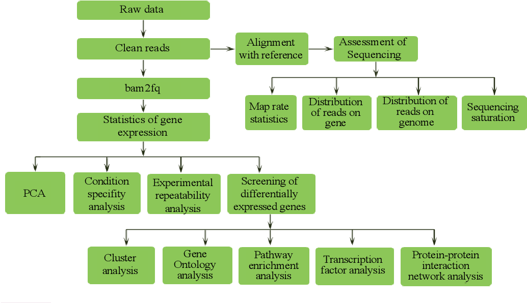 Figure 1 From Gene Function Expression Profile Of Faba Bean Vicia Faba