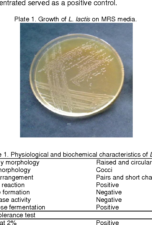 Pdf Isolation Of Bacteriocin Nisin Producing Lactococcus Lactis From