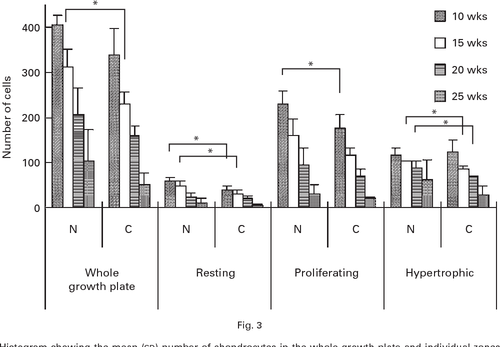 Figure 1 From The Role Of Sex Hormones In The Kinetics Of Chondrocytes