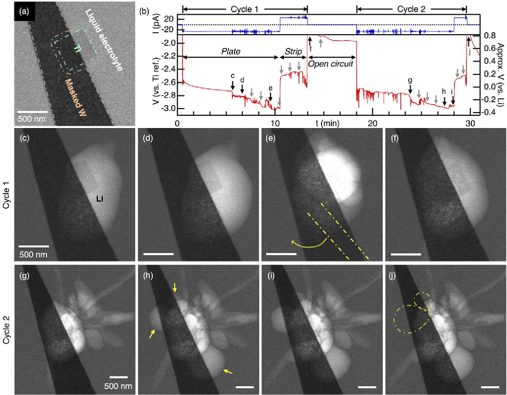 Figure 2 From Lithium Electrodeposition Dynamics In Aprotic Electrolyte