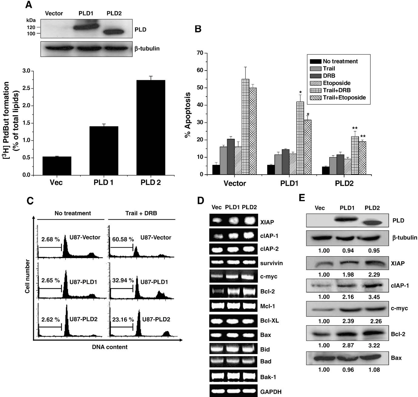 Figure 1 From Differential Regulation Of Apoptosis By Caspase Mediated