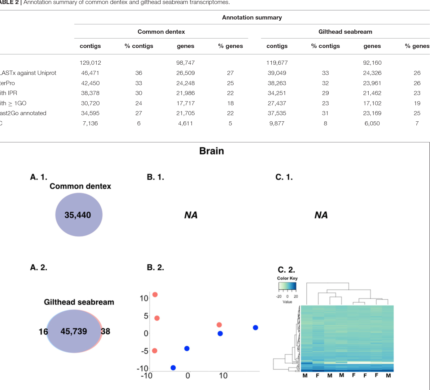 Table 2 From The Gene Toolkit Implicated In Functional Sex In Sparidae