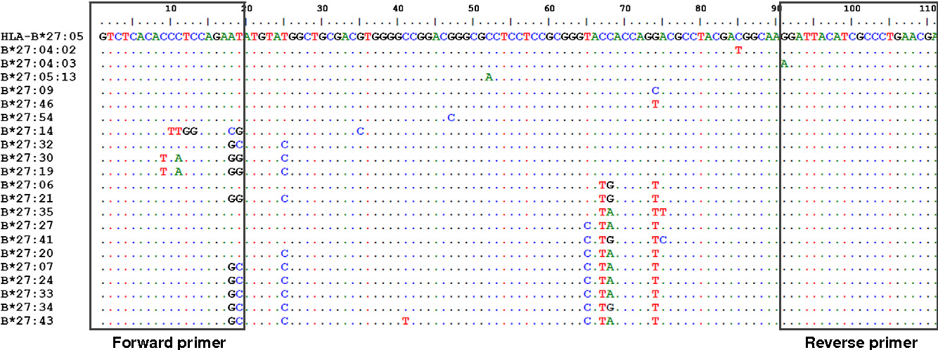 Figure 1 From Rapid Genotyping Of Hla B27 Among Korean Population By