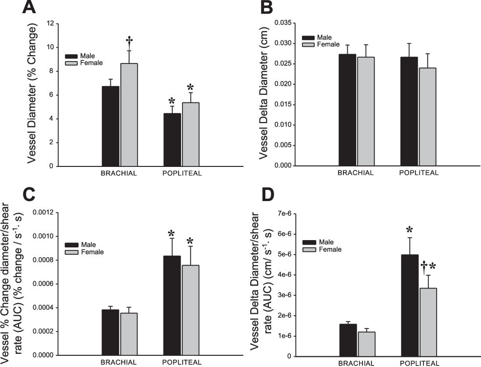 Figure 1 From Sex And Limb Specific Ischemic Reperfusion And Vascular