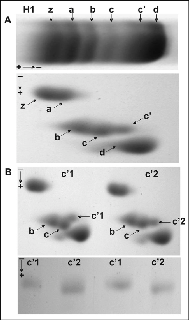 Table 1 From A Status Of Guinea Fowl Numida Meleagris And Pheasant