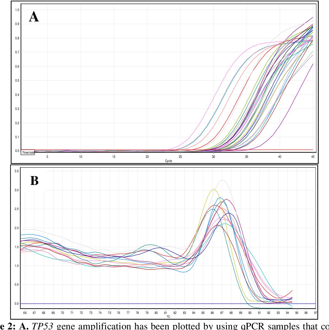 Figure 1 From The Correlation Study Between Tp53 Gene Expression And