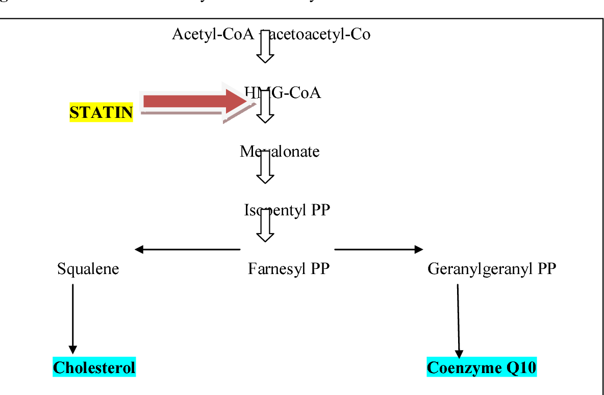 Coenzyme Q10 Supplementation For The Treatment Of Statin Induced