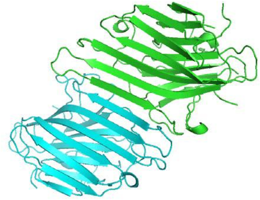 Table 1 From Isolation And Characterization Of Concanavalin A From The