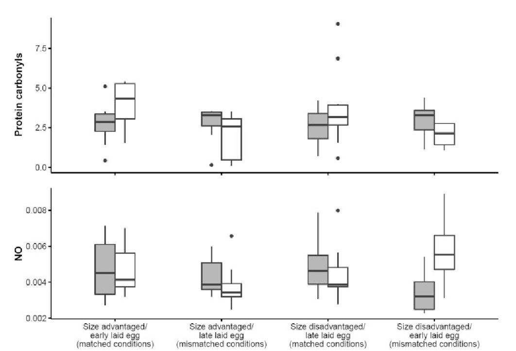 Pdf Sex Specific Effects Of Inbreeding And Early Life Conditions On