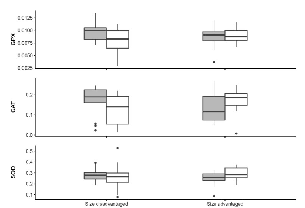 Pdf Sex Specific Effects Of Inbreeding And Early Life Conditions On