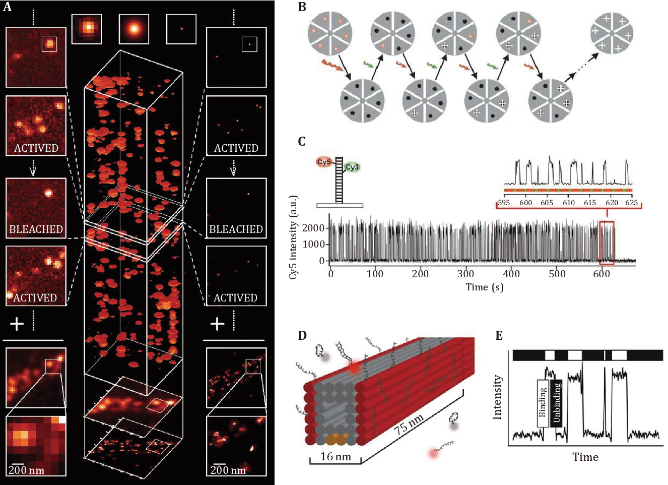 Figure 1 From Recent Progress On Single Molecule Localization