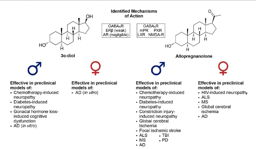 Figure 1 From Neurosteroid Metabolites Of Gonadal Steroid Hormones In