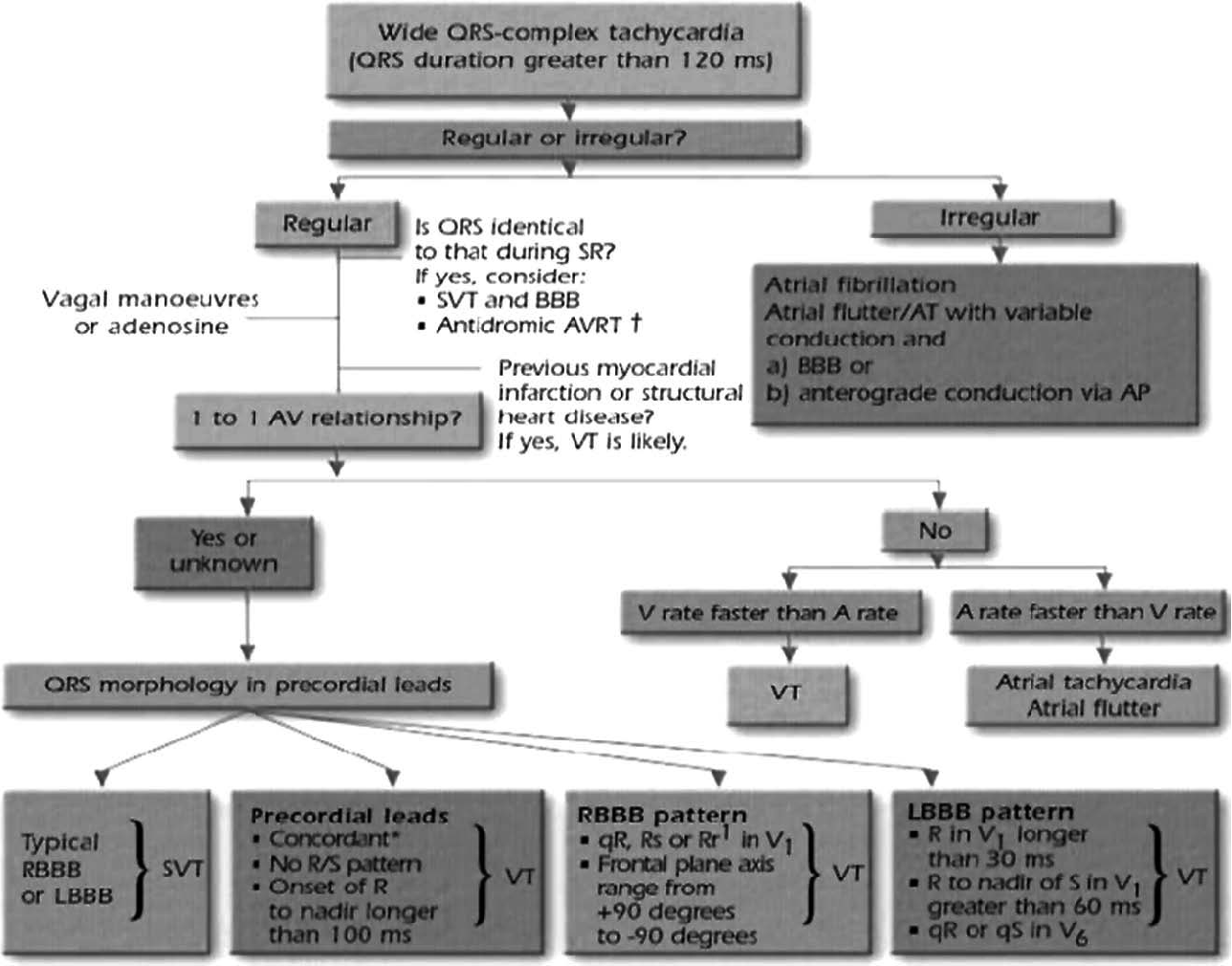 Pdf Current Algorithms For The Diagnosis Of Wide Qrs Complex