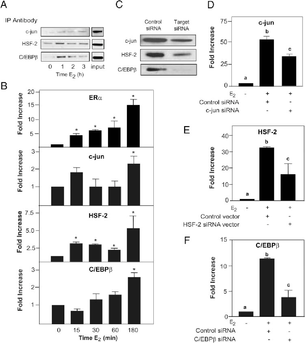 Figure 1 From Multiple Transcription Factor Elements Collaborate With