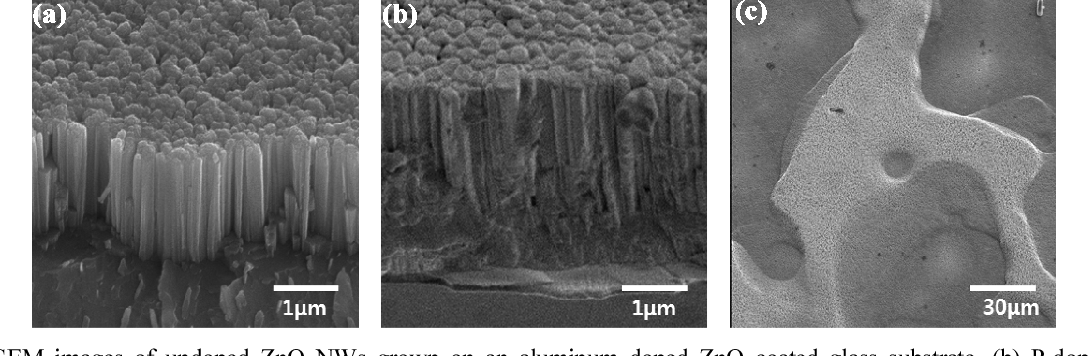 Figure 1 From Annealing Effect Of Phosphorus Doped Zno Nanorods