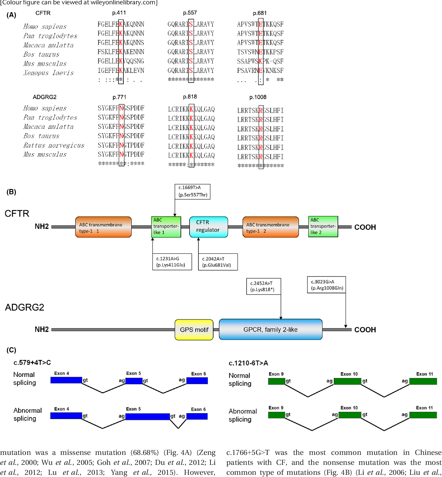 Figure 2 From Expanding The Phenotypic And Genetic Spectrum Of Chinese