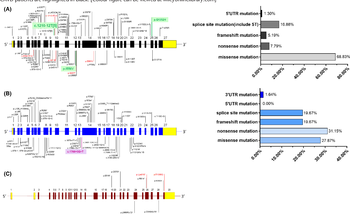 Figure 2 From Expanding The Phenotypic And Genetic Spectrum Of Chinese