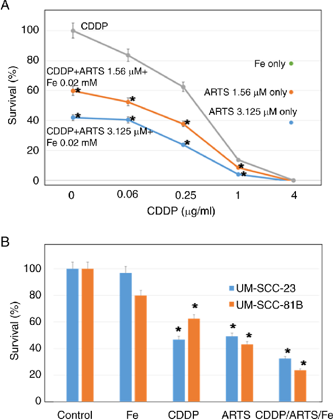 Figure 1 From Artesunate And Cisplatin Synergistically Inhibit Hnscc