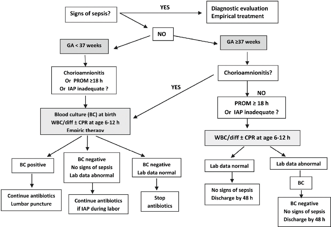 Figure 1 From Which Is The Optimal Algorithm For The Prevention Of