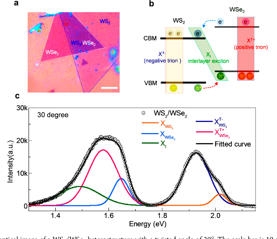 Pdf Twisted Angle Dependent Optical Behaviors Of Intralayer Excitons