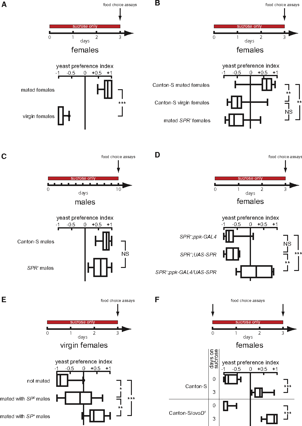 Sex Peptide Receptor And Neuronal Tors6k Signaling Modulate Nutrient