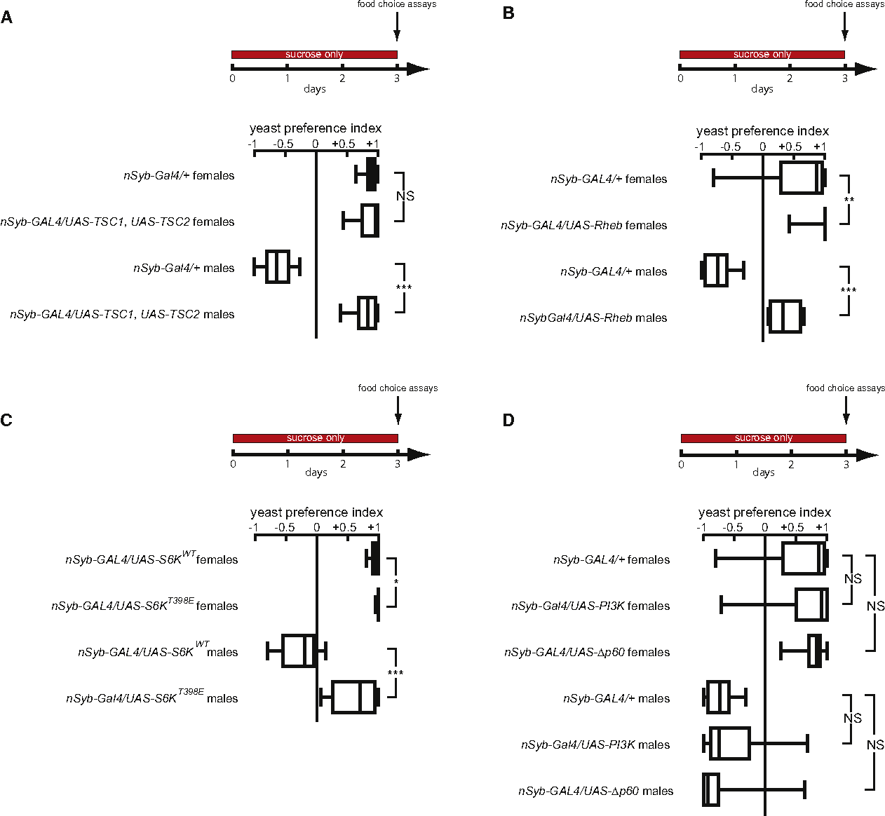 Sex Peptide Receptor And Neuronal Tors6k Signaling Modulate Nutrient