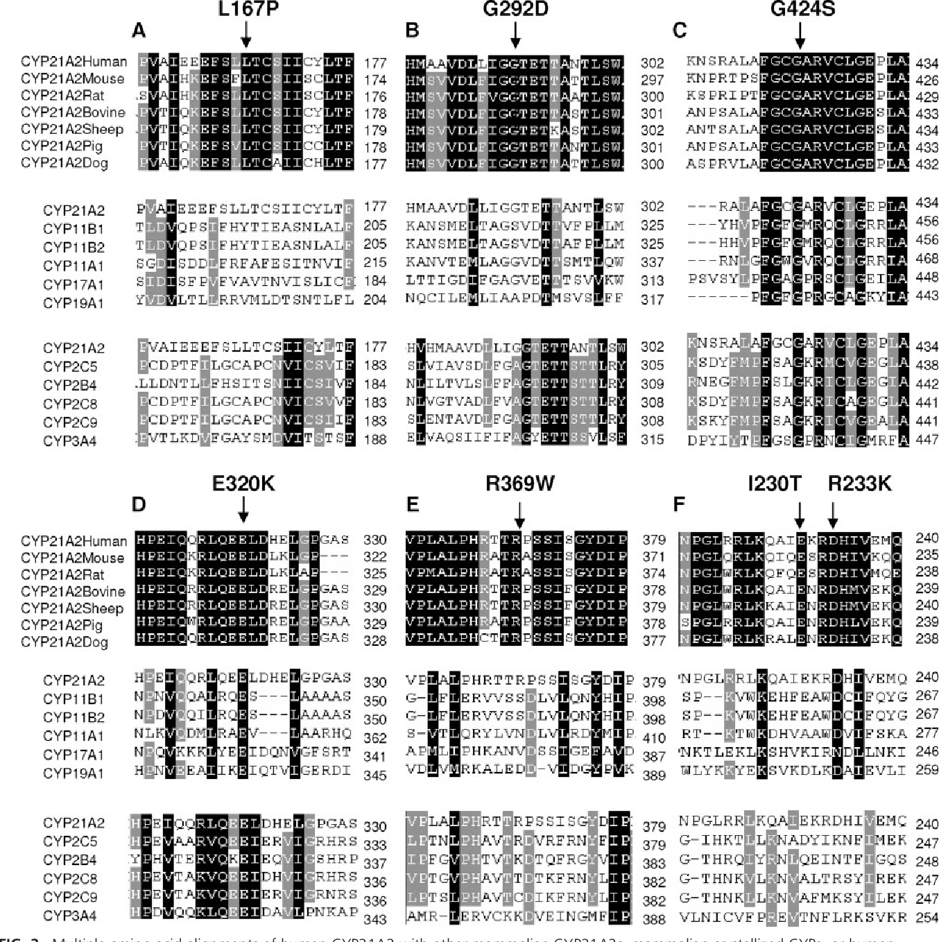 Figure 1 From Phenotype Genotype Correlations Of 13 Rare Cyp21a2