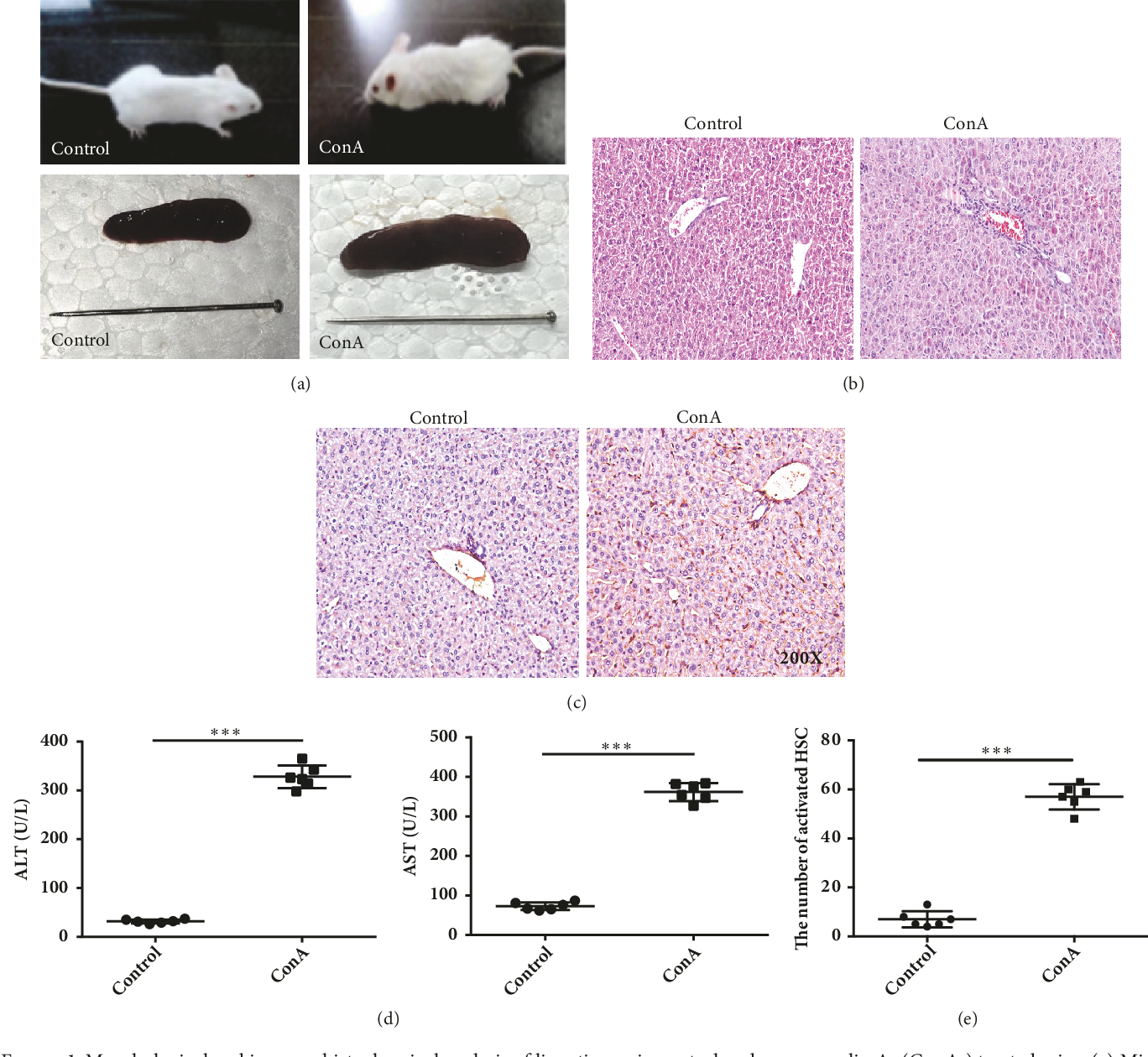 Table 1 From Splenectomy Promotes Macrophage Polarization In A Mouse