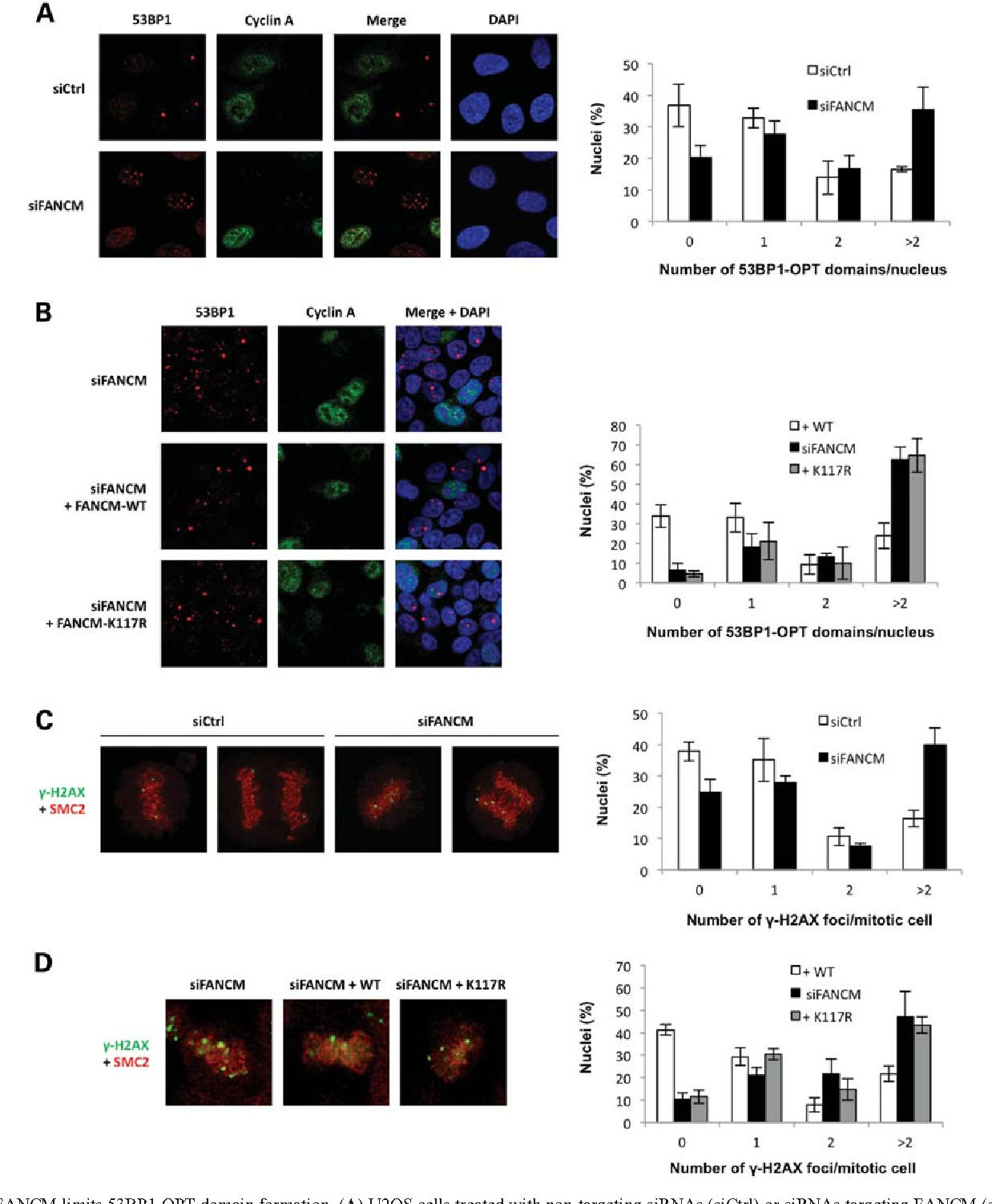 Figure 1 From The Dna Translocase Activity Of Fancm Protects Stalled