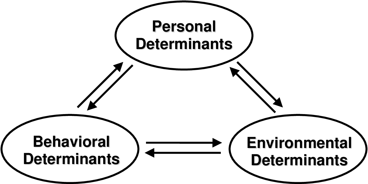 Pdf An Agentic Perspective On Positive Psychology Semantic Scholar