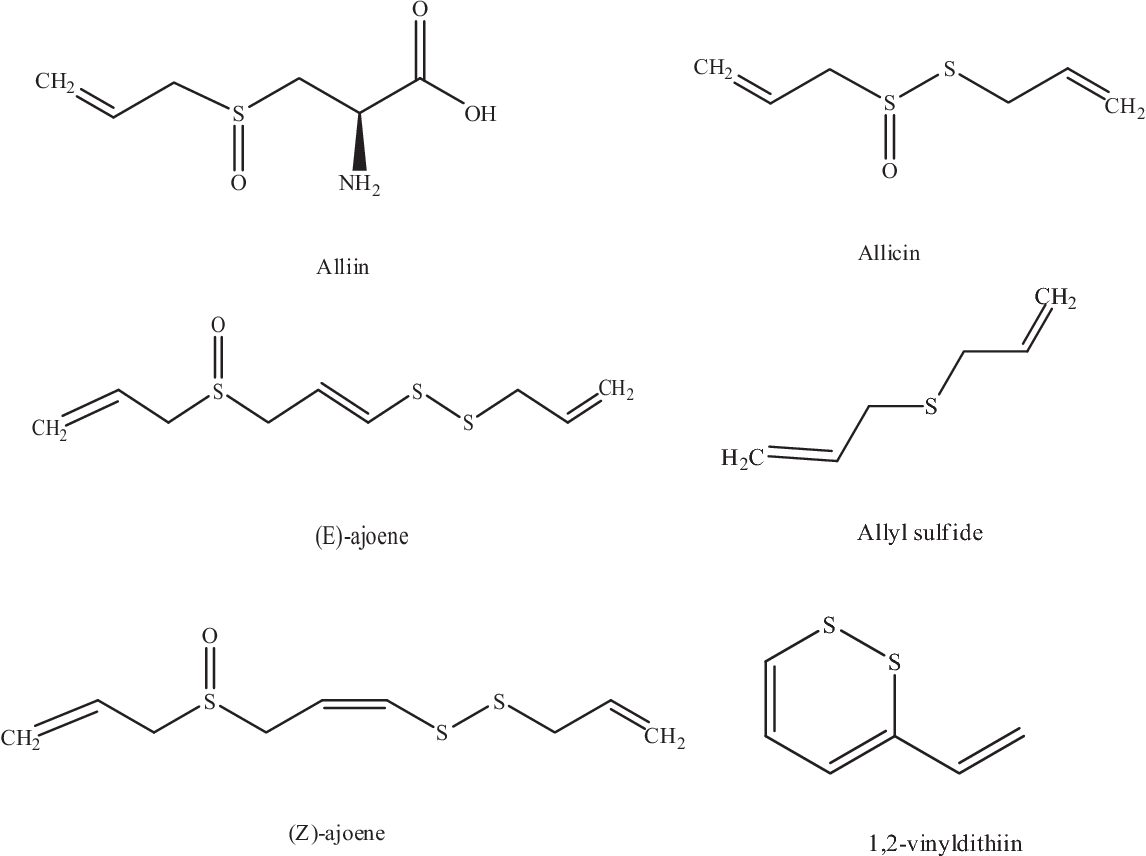 Figure 4 From Chemical Composition And Bioactive Compounds Of Garlic