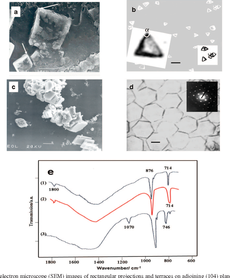 Figure 1 From Nucleation Of Calcium Carbonate As Polymorphic Crystals