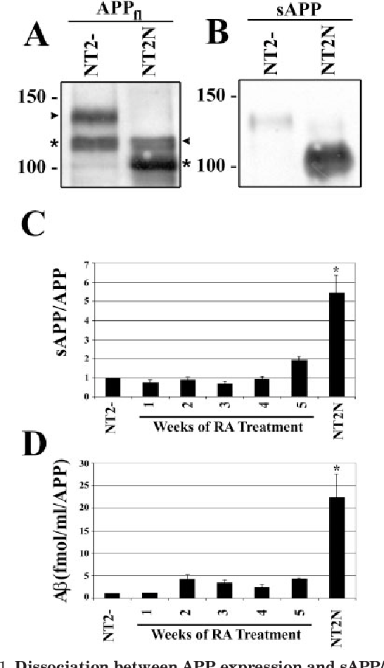 Secretion And Intracellular Generation Of Truncated Aβ In β Site