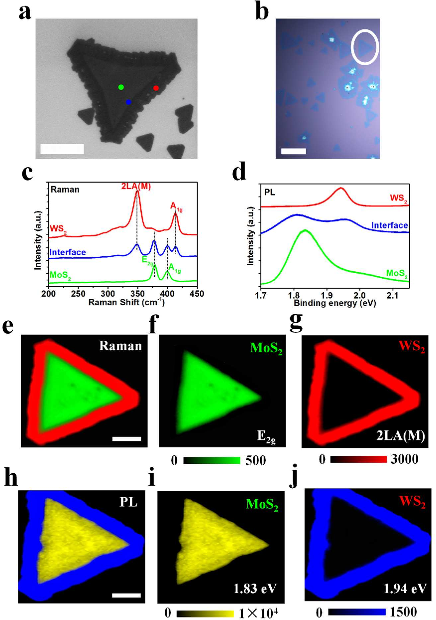 Figure 4 From Electronic Properties Of Mos2 Ws2 Heterostructures