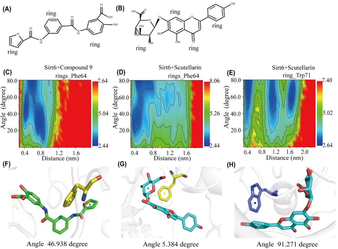 Pdf Structural Insight Into The Interactions Between Structurally