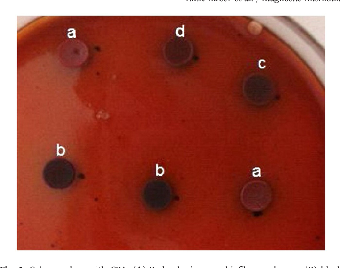 Figure 1 From Modification Of The Congo Red Agar Method To Detect