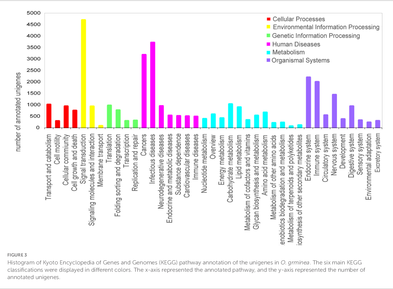 Figure 1 From Comparative Transcriptome Analysis Revealed Genes