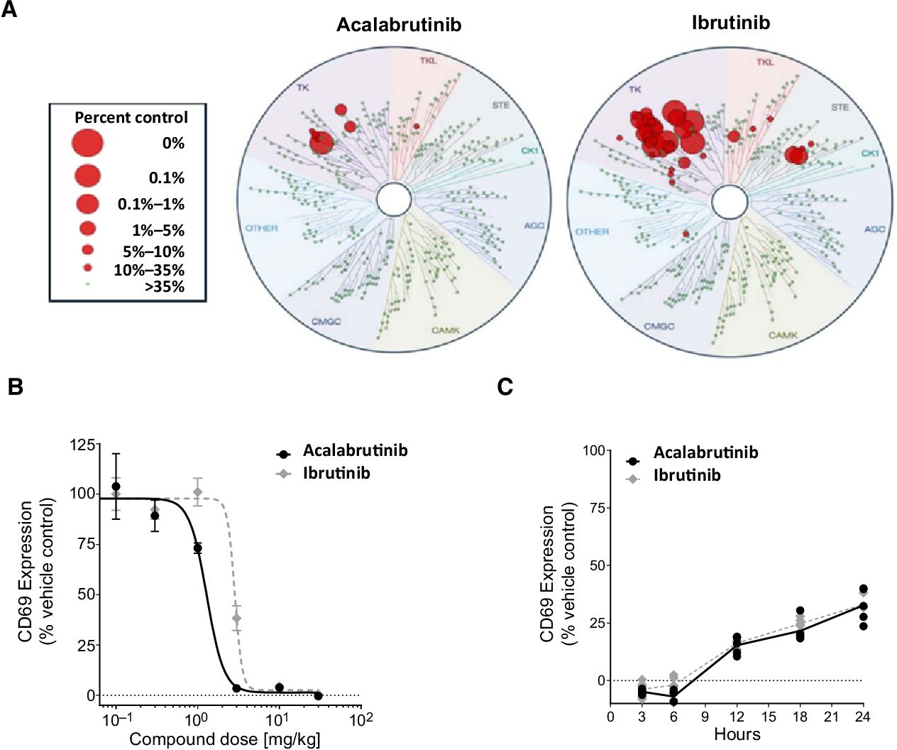 Figure 1 From The Bruton Tyrosine Kinase Btk Inhibitor Acalabrutinib